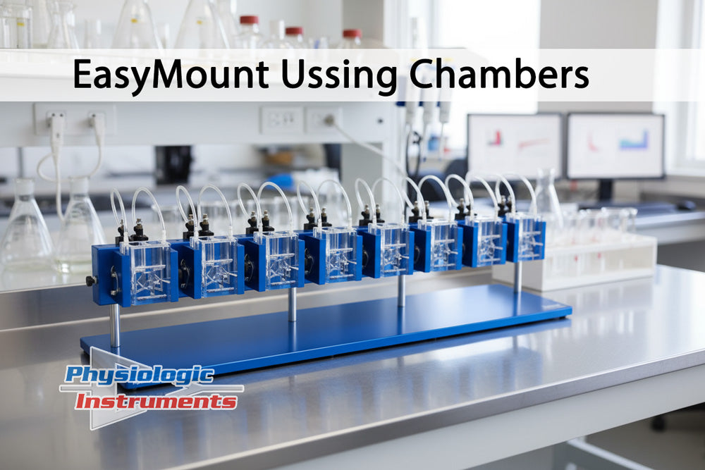 Ussing Chamber Experiment: Step-by-Step Guide to Epithelial Transport ...